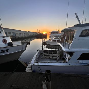 BERTH 55 FISH MARKET AND SEAFOOD DELI - Updated June 2025 - 1670 Photos ...