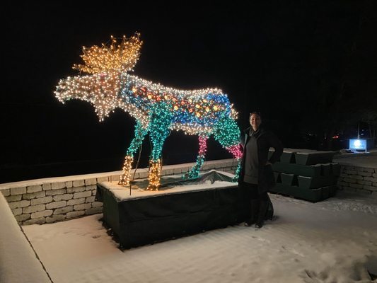 THE ANTLERS - 53 Photos & 92 Reviews - American (Traditional) - 1159 ...