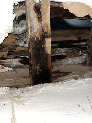 WAVECREST MANAGEMENT - Updated December 2025 - 44 Photos & 114 Reviews ...