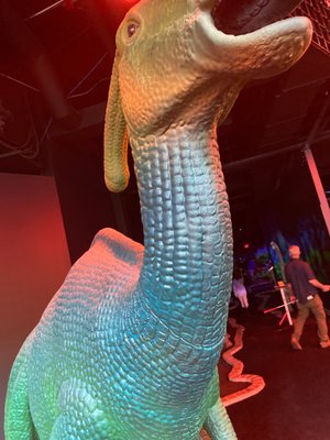 REXCENTER VEGAS - 76 Photos & 91 Reviews - 3680 S Maryland Pkwy, Las ...