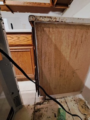 NEVADA COMMUNITY MANAGEMENT - Updated October 2025 - 18 Photos & 67 ...