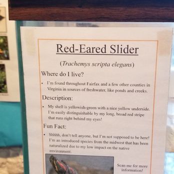 ELLANOR C LAWRENCE PARK - WALNEY VISITORS CENTER - Updated December ...