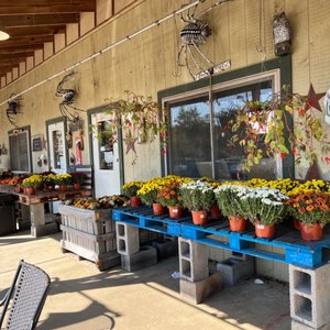 MESSICK’S FARM MARKET - Updated July 2024 - 140 Photos & 84 Reviews ...