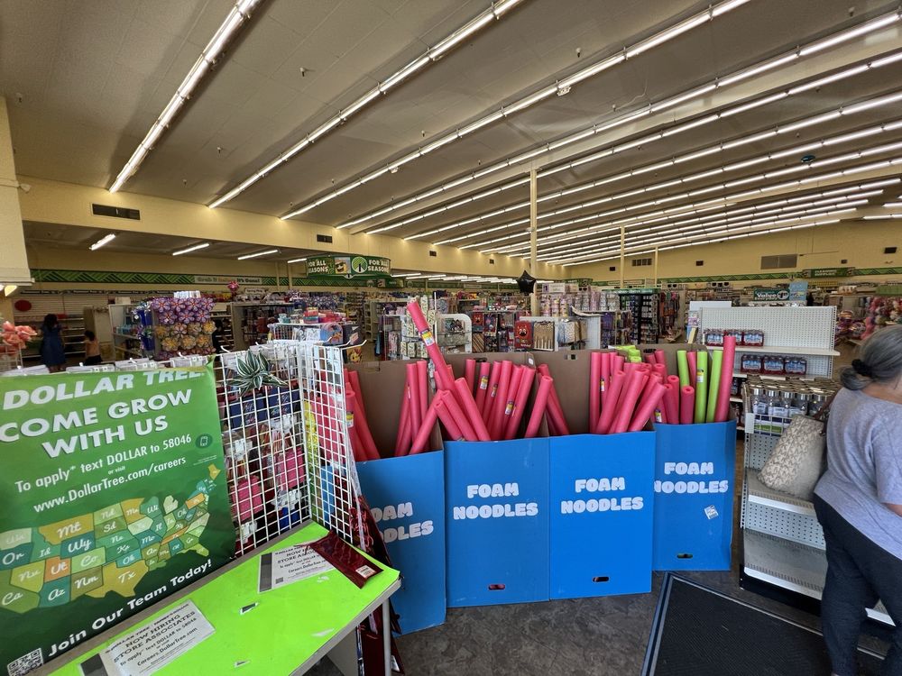 DOLLAR TREE - Updated September 2025 - 55 Photos & 130 Reviews - 150 N ...