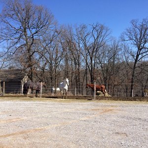 K1 SPEED - Updated July 2025 - 25 Photos - 2107 W Walnut St, Rogers ...