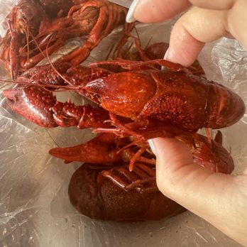 BAYOU CAT RESTAURANT - Updated April 2025 - 398 Photos & 408 Reviews ...