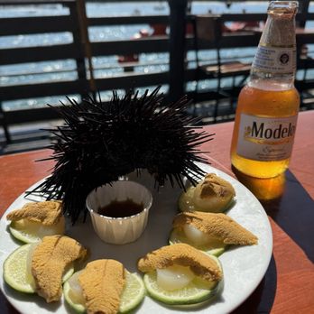 SANTA BARBARA SHELLFISH COMPANY - Updated August 2024 - 6062 Photos ...