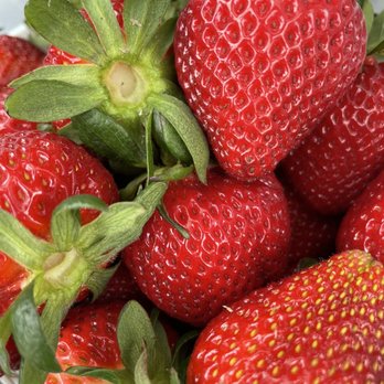 CULLIPHER FARM - Updated April 2025 - 362 Photos & 53 Reviews - 772 ...