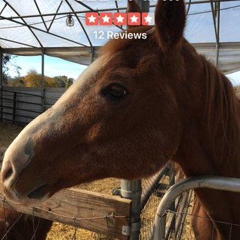 PEZZA FARM AND GARDEN CENTER - Updated October 2025 - 64 Photos & 18 ...