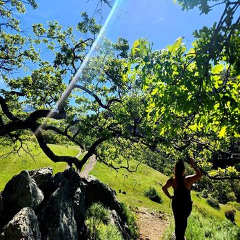 SUNOL REGIONAL WILDERNESS AREA - Updated May 2025 - 1942 Photos & 355 ...