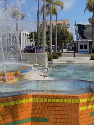 OCEANSIDE PUBLIC LIBRARY - Updated July 2024 - 83 Photos & 48 Reviews ...