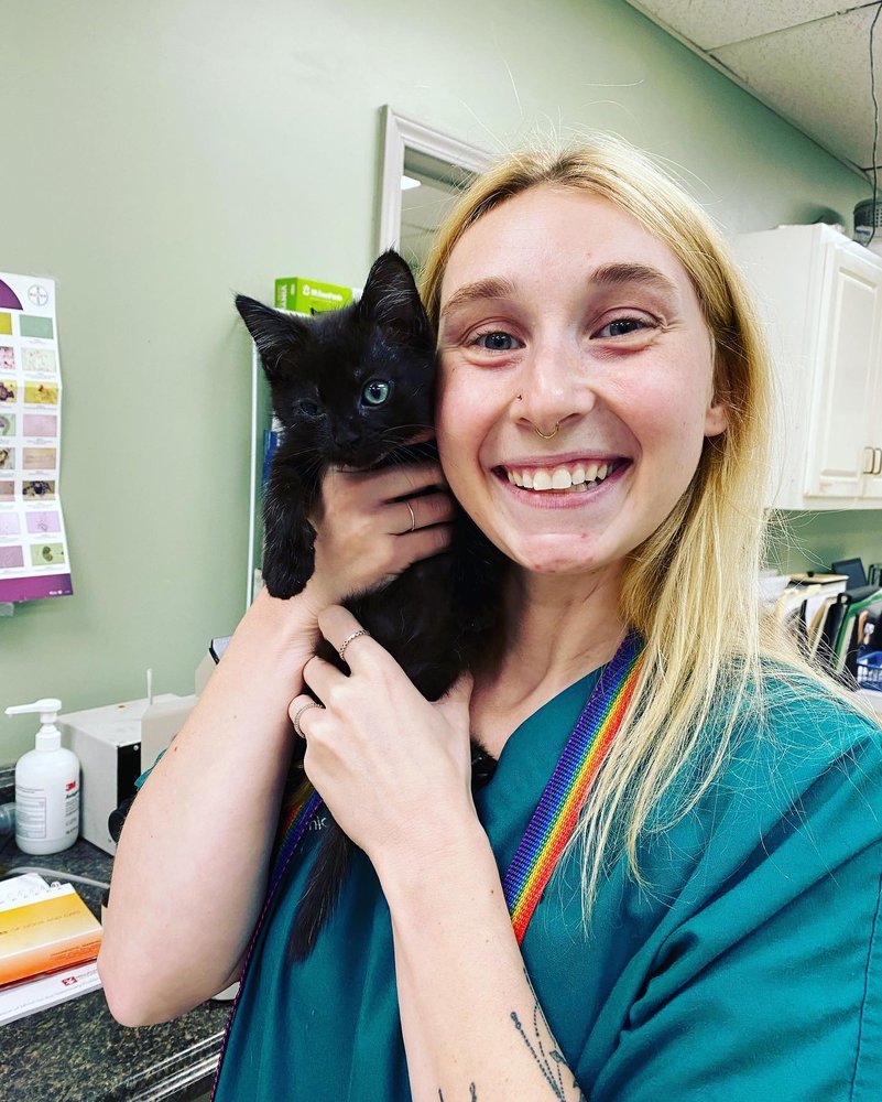 CLOVERLEAF ANIMAL CLINIC - Updated June 2026 - 14 Photos & 34 Reviews ...