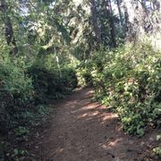 FIVE MILE DRIVE - 51 Photos & 20 Reviews - Five Mile Dr, Tacoma ...