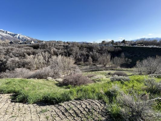 DIMPLE DELL DRY CREEK TRAIL - Updated July 2025 - 14 Photos - 2879 ...