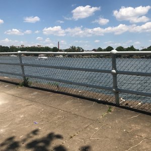 HAINS POINT - 48 Photos & 30 Reviews - Parks - 1100 Ohio Dr SW ...