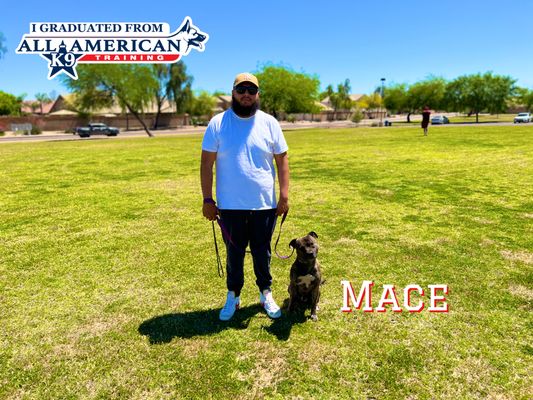ALL-AMERICAN K-9 DOG TRAINING - 404 Photos & 266 Reviews - Phoenix ...
