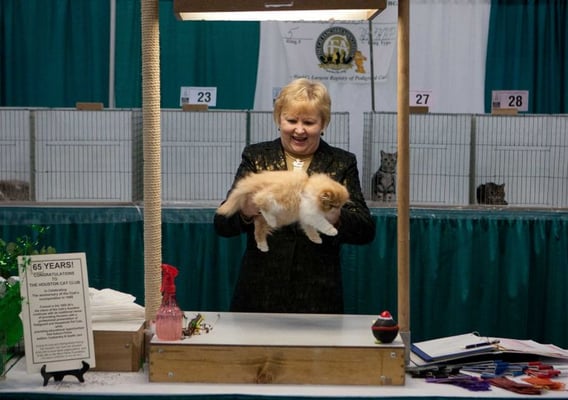 HOUSTON CAT SHOW - Updated December 2025 - 1001 Avenida De Las Americas ...