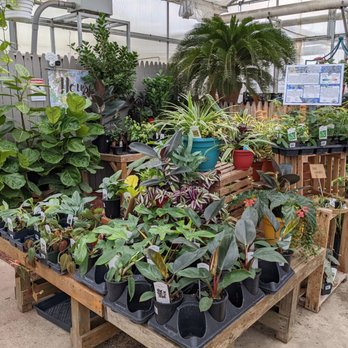 RIVER STREET FLOWERLAND - Updated November 2025 - 119 Photos & 13 ...