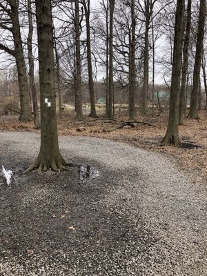 WILLOWBROOK PARK - Updated October 2025 - Victory Blvd, Staten Island ...