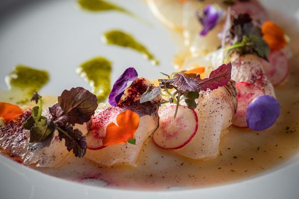 ROKA AKOR - OAK BROOK - Updated September 2024 - 1348 Photos & 481 ...