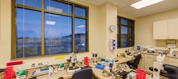 CCRM FERTILITY - LONE TREE - Updated December 2025 - 29 Photos & 129 ...