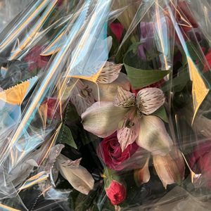 RED FLOWERS - Updated March 2025 - 14 Photos - 1516 Reed St ...