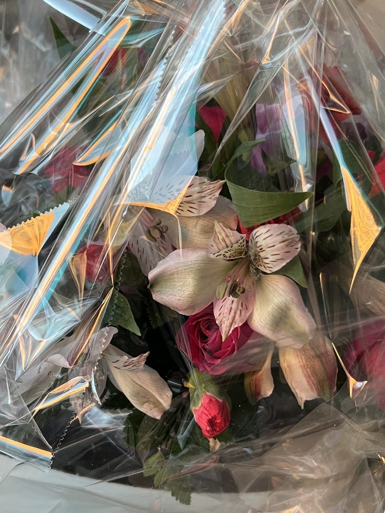 THE PHILADELPHIA FLOWER MARKET - Updated August 2024 - 65 Photos & 38 ...