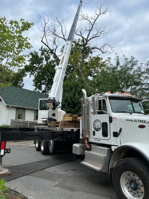 JL TREE SERVICE - Updated December 2025 - 138 Photos & 148 Reviews ...