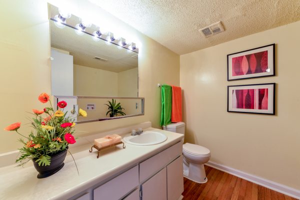 THE VILLAGE AT WESLEY CHAPEL APARTMENTS - Updated November 2024 - 25 ...