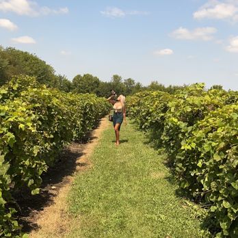 SOMERSET RIDGE VINEYARD & WINERY - Updated January 2025 - 122 Photos ...