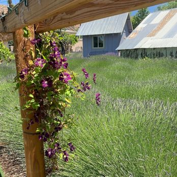 LAVENDER RIDGE - Updated November 2025 - 114 Photos & 43 Reviews - 7450 ...
