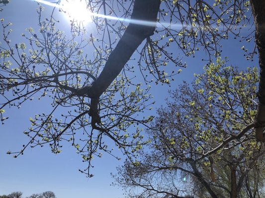 CITY OF ALBUQUERQUE OPEN SPACE VISITOR CENTER - Updated August 2024 ...