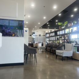 NEW OPTIX OPTOMETRY - Updated December 2025 - 100 Photos & 401 Reviews ...