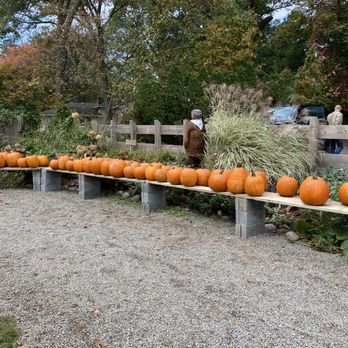 ABMA’S FARM MARKET, GREENHOUSES, AND PETTING ZOO IN WYCKOFF, NJ ...