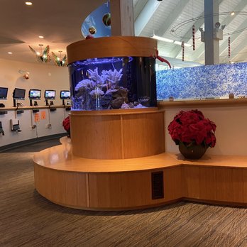 CATHLEEN GEORGE, DMD - Updated January 2026 - 29 Photos - 51 Almshouse ...