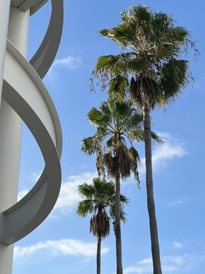 CITRUS PARK TOWN CENTER - Updated May 2026 - 66 Photos & 11 Reviews ...