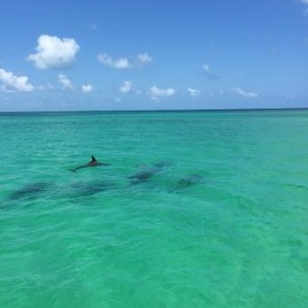 MELODY KEY PRIVATE ISLAND - Updated August 2025 - 14 Photos ...