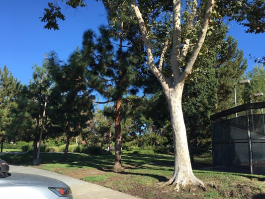 TURTLE ROCK COMMUNITY CENTER - Updated June 2026 - 25 Photos & 17 ...