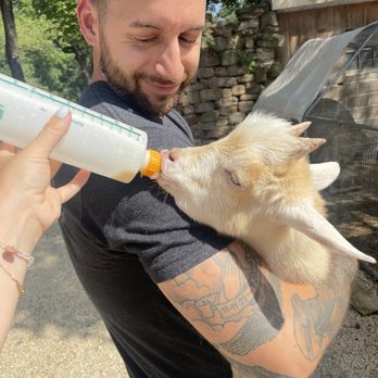 ROSE BRIDGE FARM & SANCTUARY - Updated March 2024 - 173 Photos & 62 ...