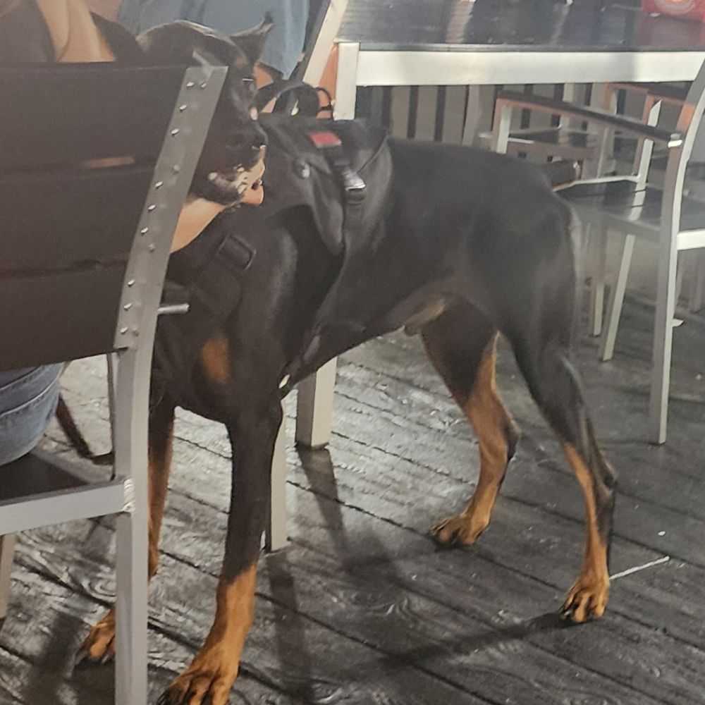 TC HOOLIGANS CORPORATE - Updated August 2025 - 2440 Ridgeway Ave ...