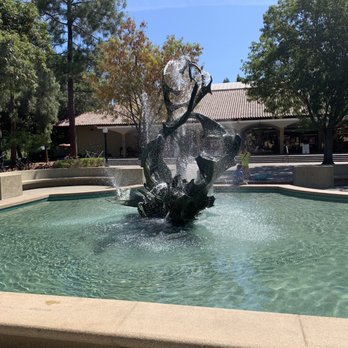 COHO CAFE - Updated December 2024 - 195 Photos & 205 Reviews - 459 ...