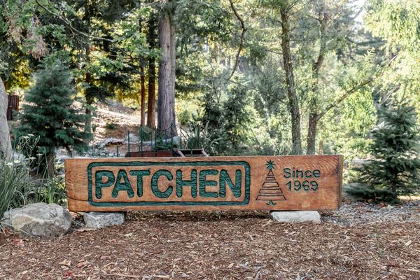 PATCHEN CALIFORNIA CHRISTMAS TREE FARMS - Updated December 2025 - 85 ...