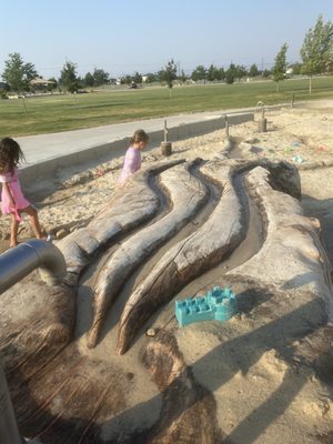 DISCOVERY PARK - Updated December 2025 - 24 Photos - 2121 E Lake Hazel ...