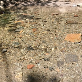 GALENA CREEK REGIONAL PARK - Updated July 2025 - 293 Photos & 40 ...