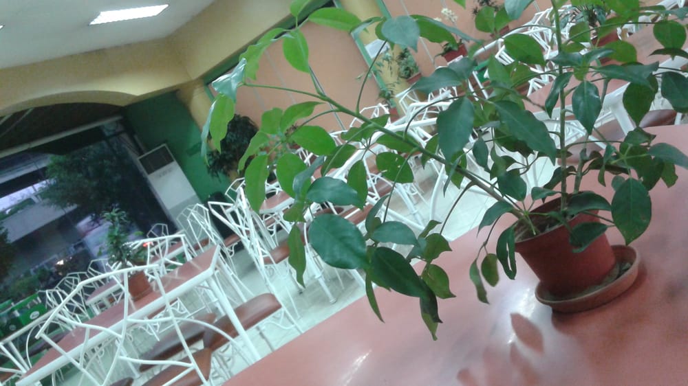 MERCED BAKE HOUSE - Updated July 2025 - 869 Edsa, West Triangle, Quezon ...