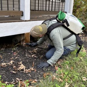 ROCKET PEST CONTROL - Updated May 2025 - 12 Photos - Atlanta, Georgia ...