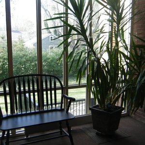 WAREHAM FREE LIBRARY - Updated August 2025 - 12 Photos - 59 Marion Rd ...