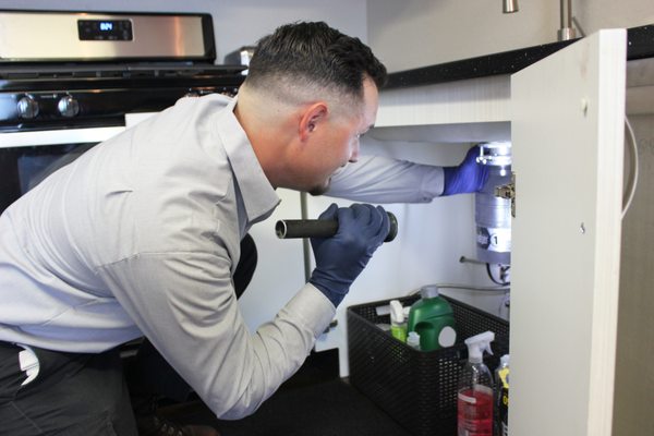 ADVANCED INTEGRATED PEST MANAGEMENT - Updated October 2025 - 39 Photos ...