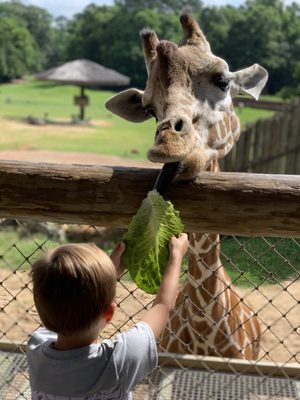 CALDWELL ZOO - 401 Photos & 98 Reviews - 2203 W Mrtn Lthr Kng Jr, Tyler ...