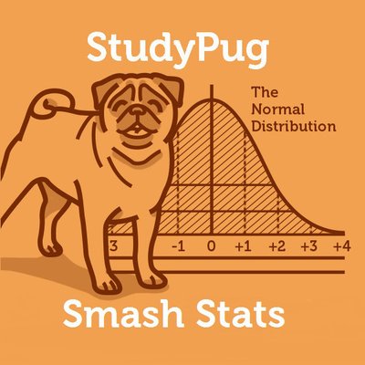 STUDYPUG - Updated December 2025 - 12 Photos & 17 Reviews - 5831 ...